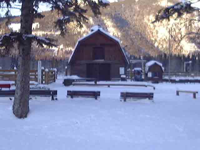 Pictures of Santa's Reindeer Barn: A Virtual Tour with Elf Photos